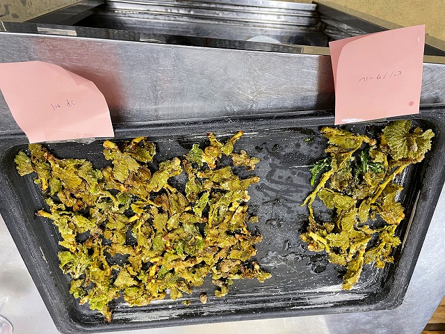 4月に入り新しいスタート « divo-diva｜ディボ・ディバ